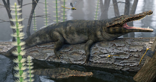 Paleontólogos da UFSM, Unipampa e PUC apresentam novo estudo envolvendo ...