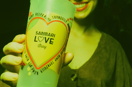 Sambari Festival terá atrações nacionais em dois dias de festa em Santa ...