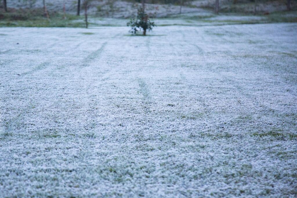 Inmet alerta para nova onda de frio intenso; Santa Maria terá geada e ...
